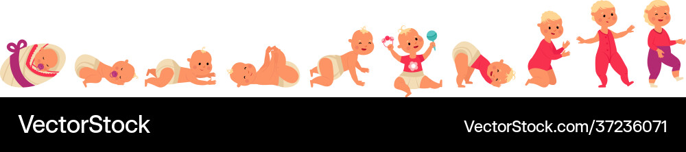 Toddler growth process baby development infant Vector Image