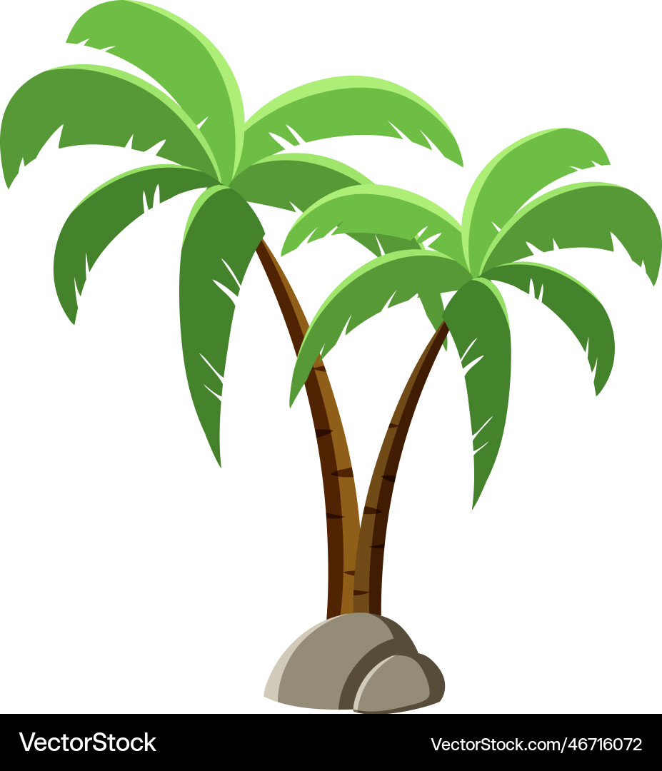 Coconut tree isolated Royalty Free Vector Image