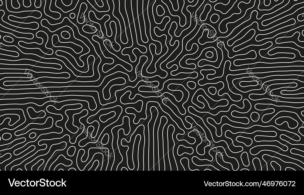 Complicated thin lines pattern psychedelic crazy Vector Image