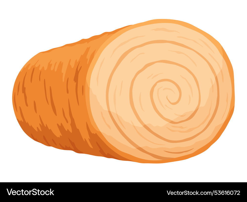 Fried chicken in roll crispy fried chicken piece Vector Image