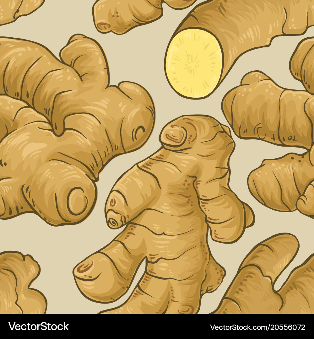 Ginger pattern Royalty Free Vector Image - VectorStock