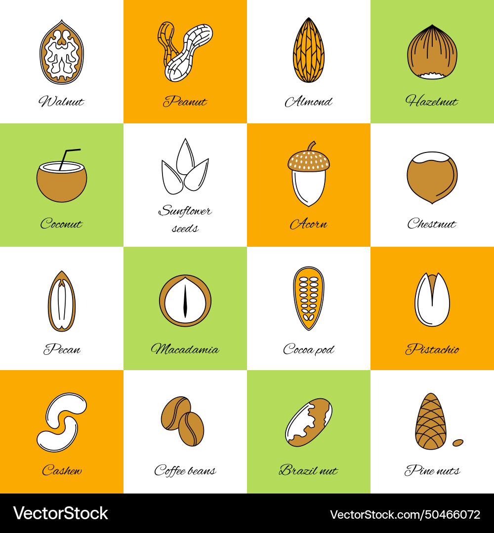 Set of nuts icons Royalty Free Vector Image - VectorStock
