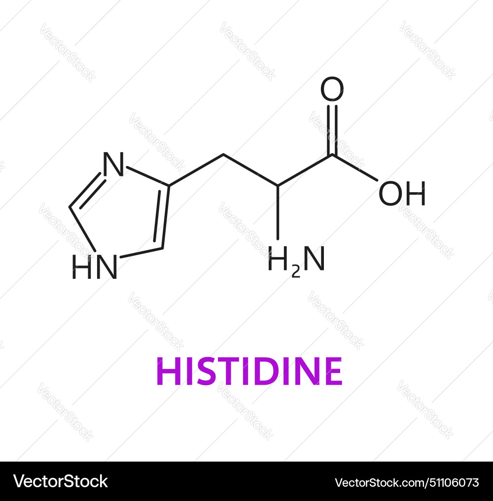 Amino acid molecule histidine molecular formula Vector Image