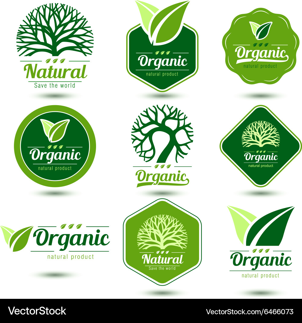 Eco label Royalty Free Vector Image - VectorStock