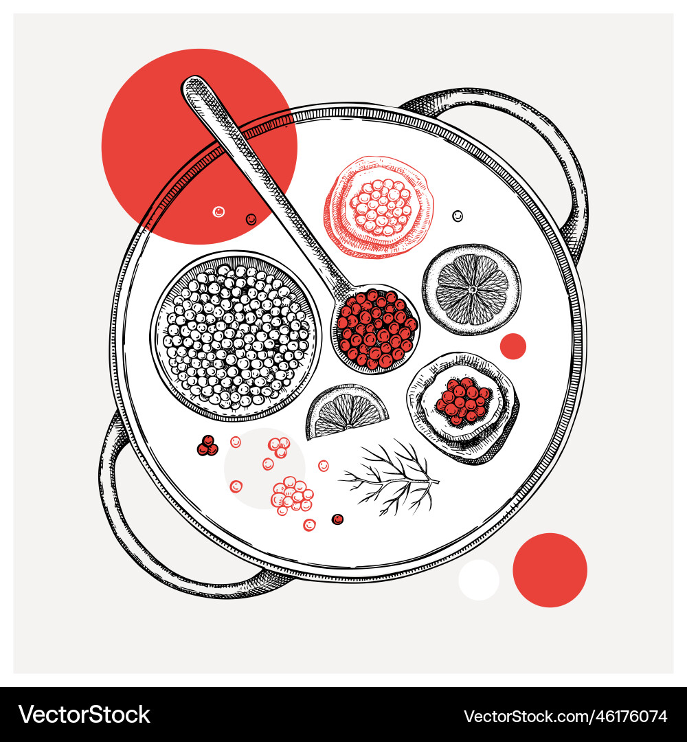 Hand-drawn tray with canned caviar red Royalty Free Vector