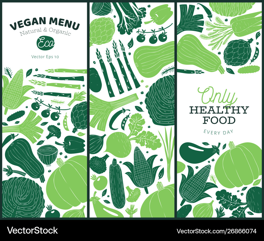 Set hand drawn vegetables design templates Vector Image