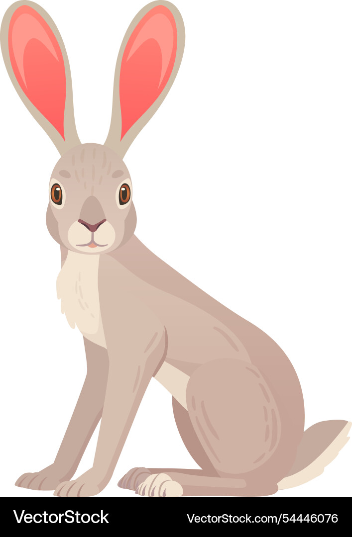 Jackrabbit character wild hare gray fur animal Vector Image
