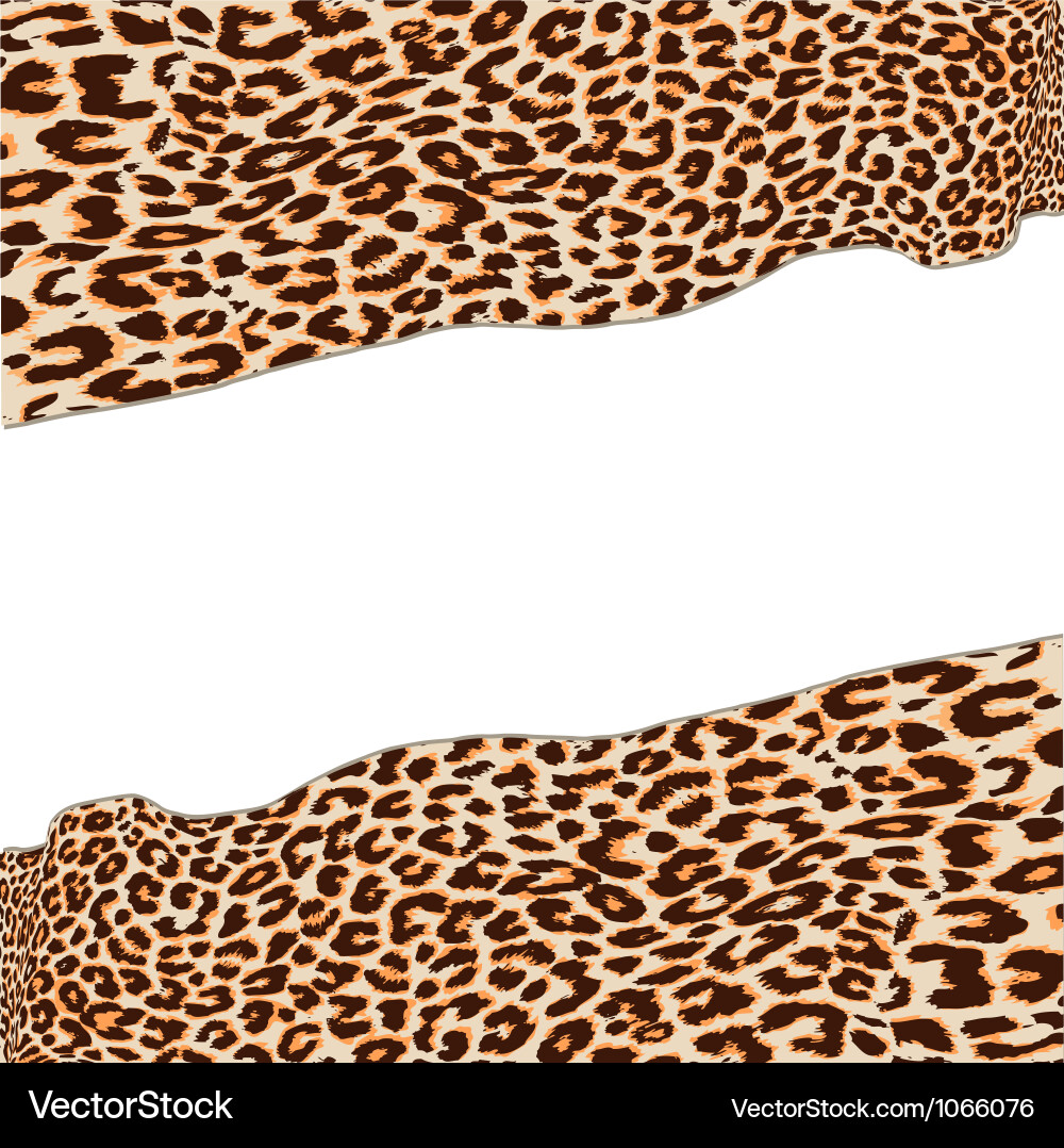 Leopard texture Royalty Free Vector Image - VectorStock