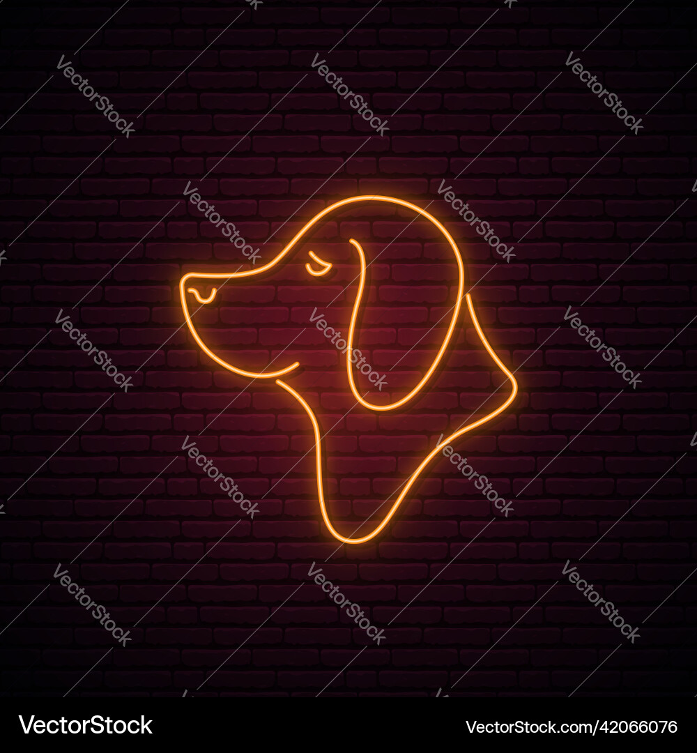 Neon dog sign glowing labrador icon Royalty Free Vector