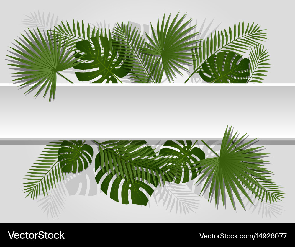 Green summer tropical header with exotic palm Vector Image