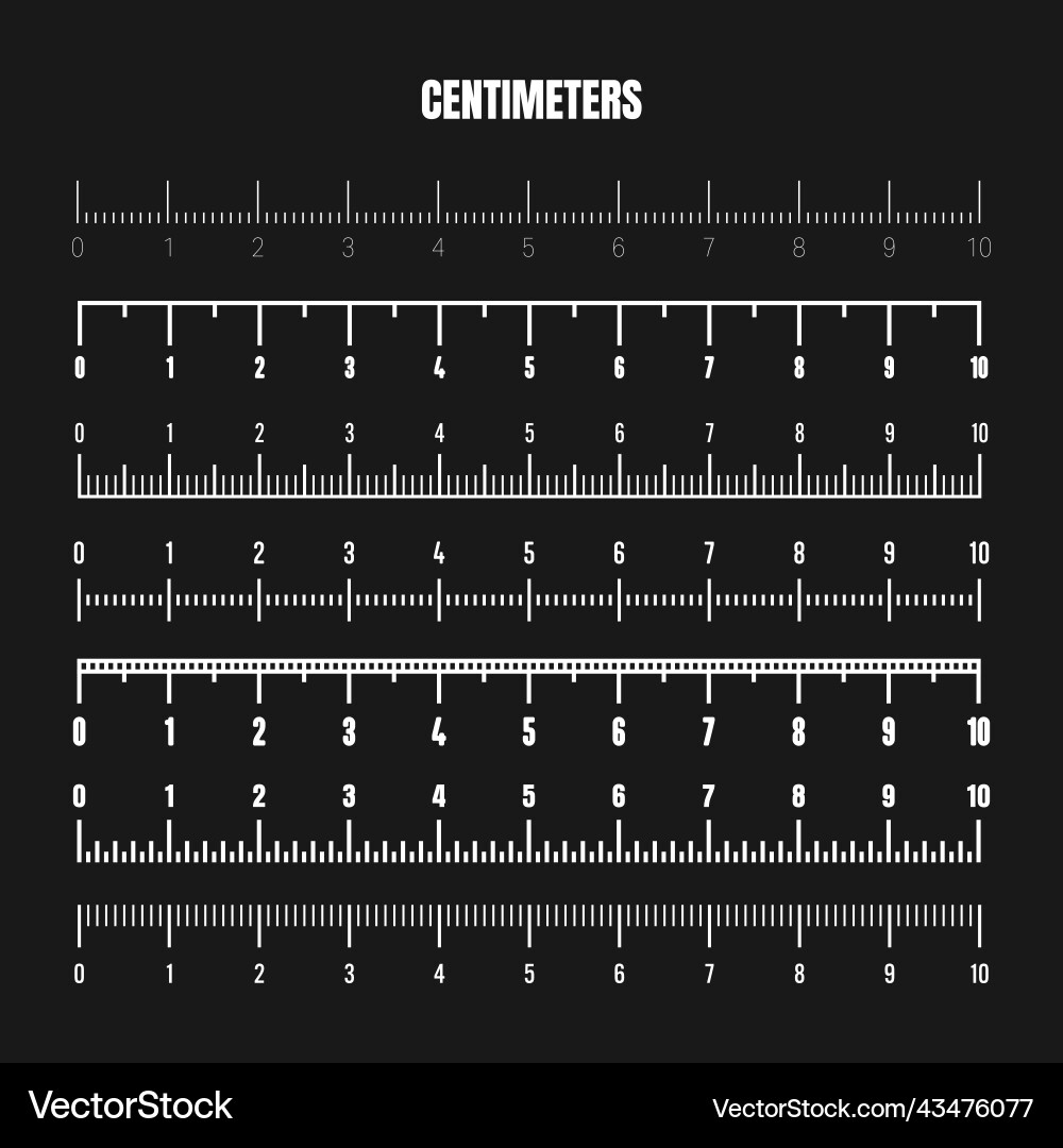Realistic white centimeter scale for measuring Vector Image