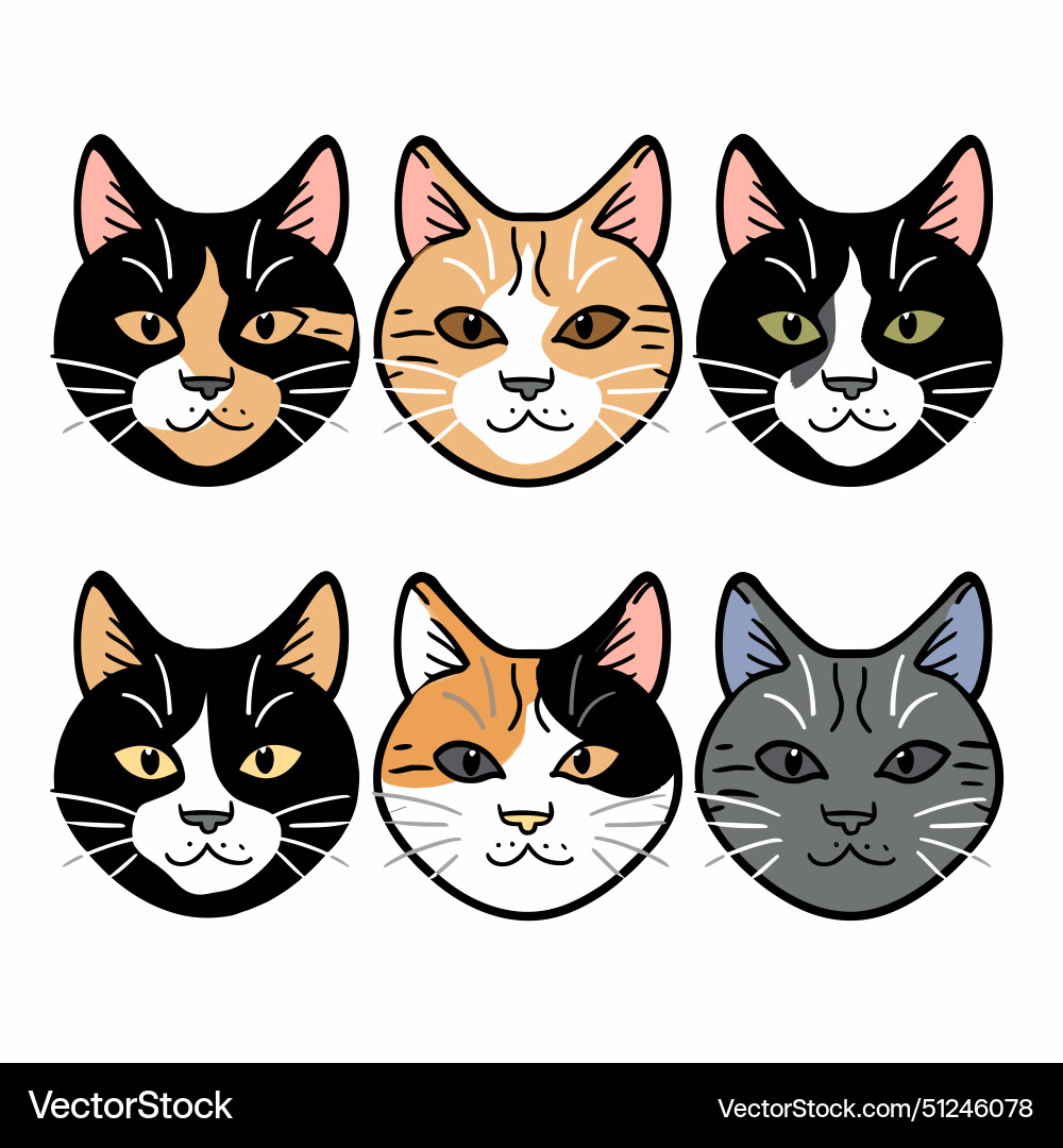 Six cartoon cat faces variety coat colors patterns