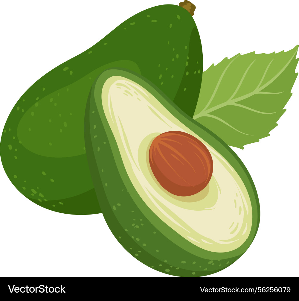 Avocado fruit whole and split avocados Royalty Free Vector