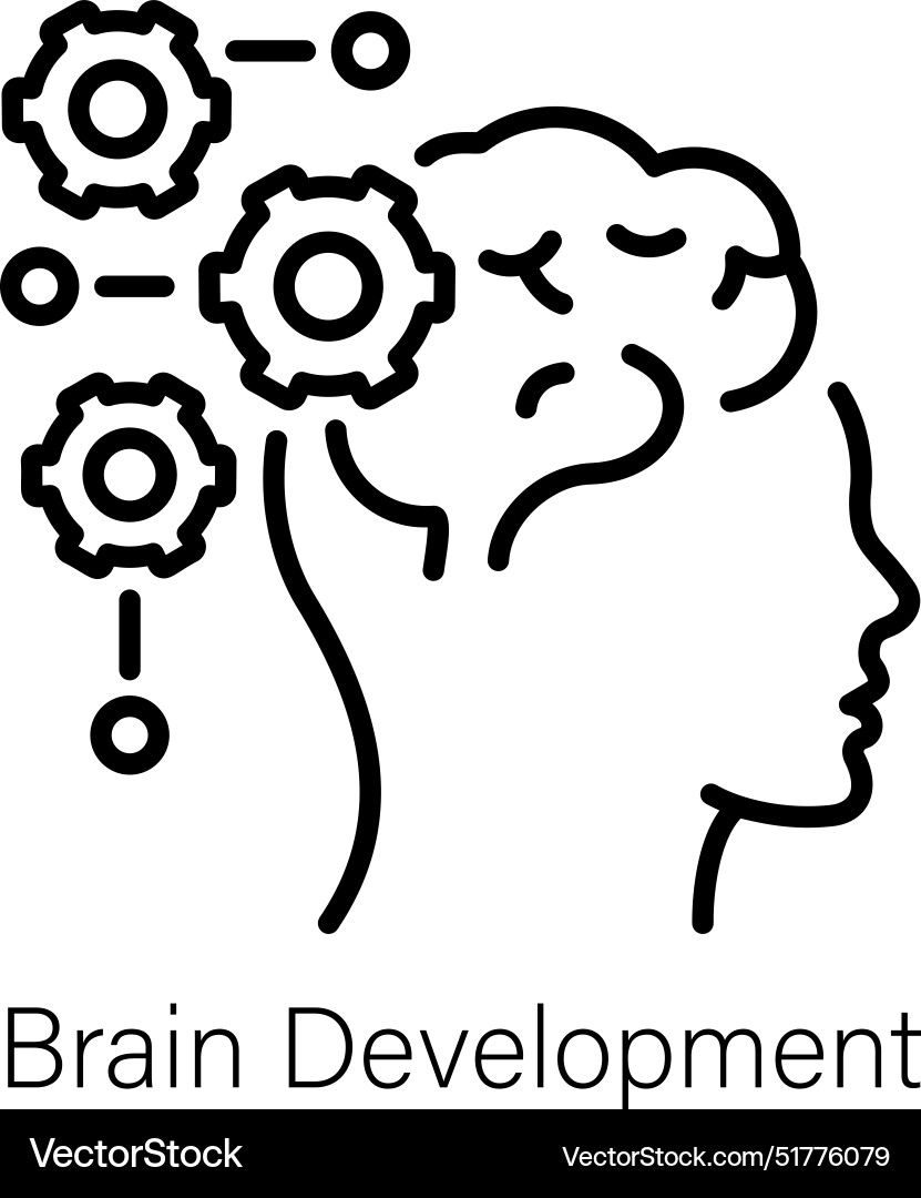 Brain development Royalty Free Vector Image - VectorStock
