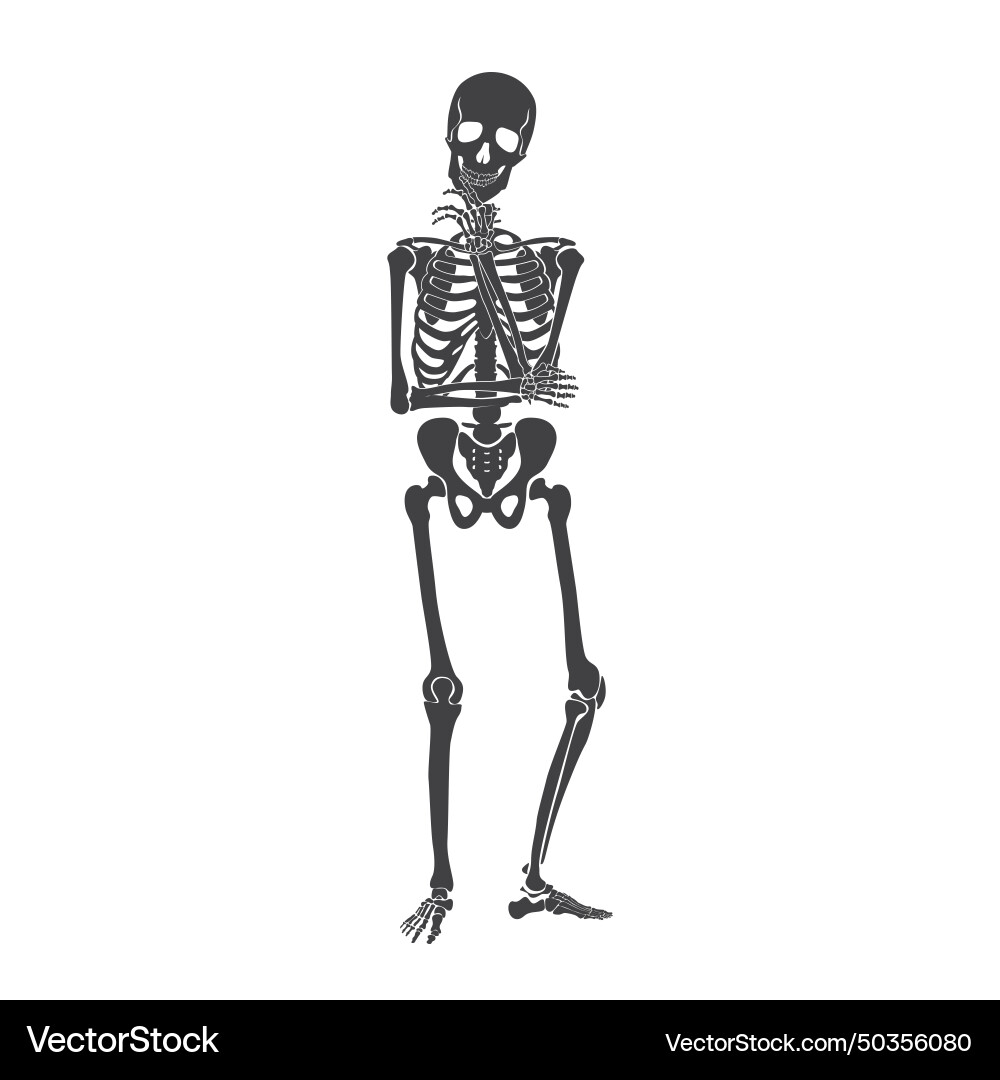 Black skeleton thinking scary pensive character Vector Image