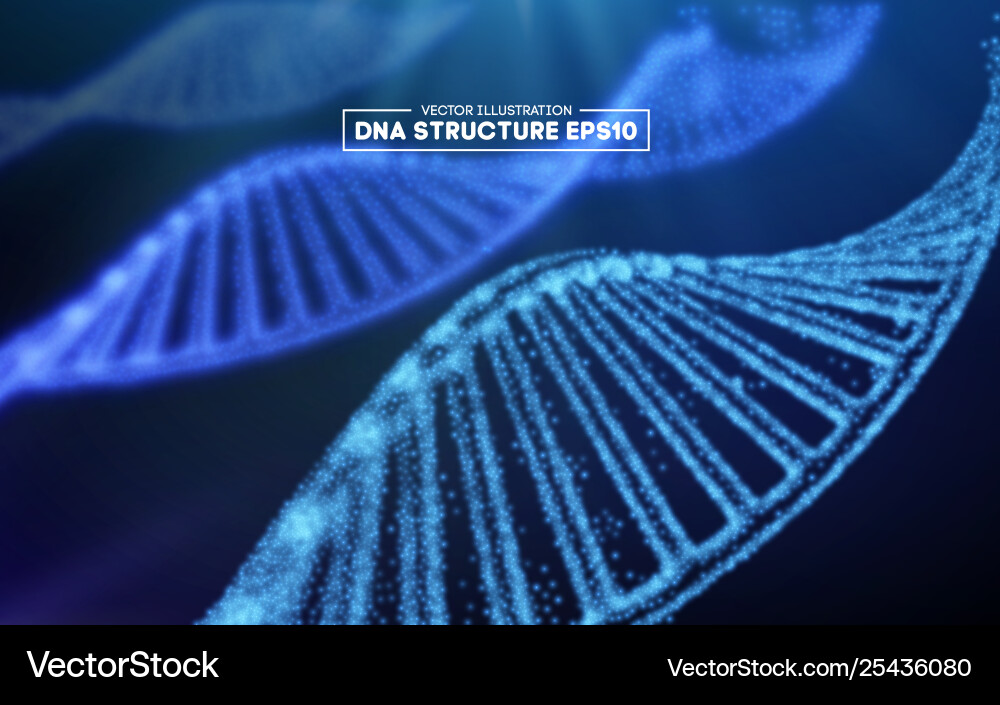 Genome dna structure eps Royalty Free Vector Image