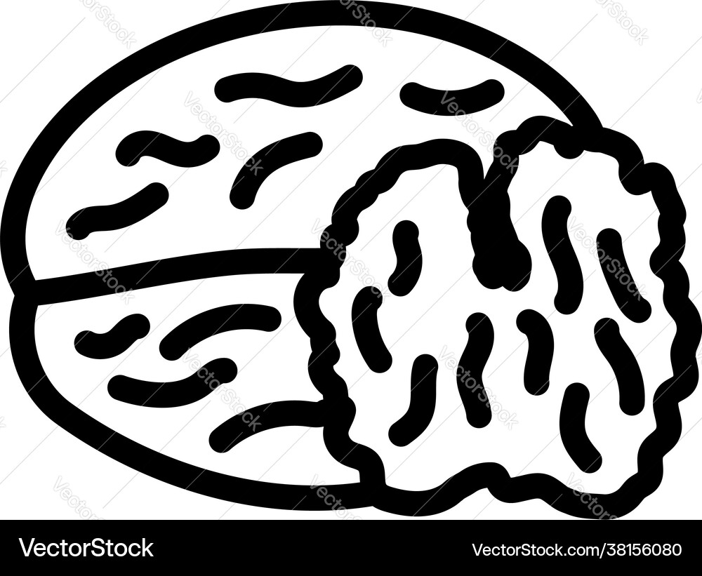 Walnut icon Royalty Free Vector Image - VectorStock