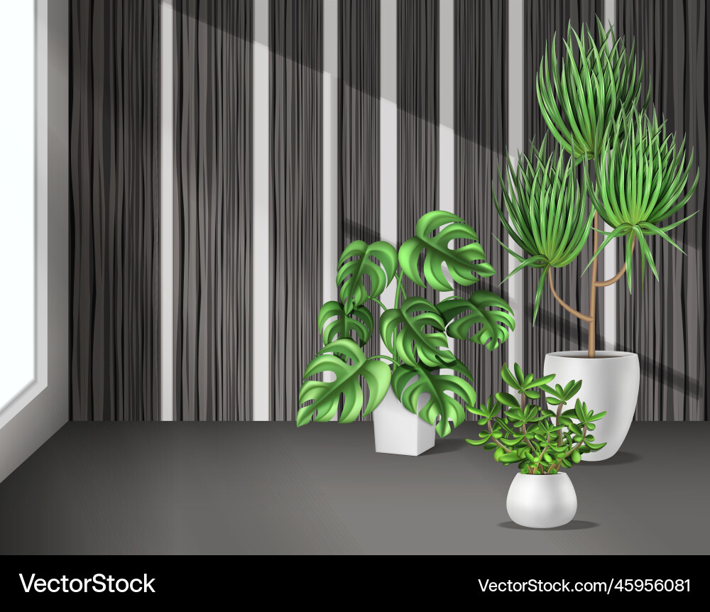 Houseplants indoor background Royalty Free Vector Image