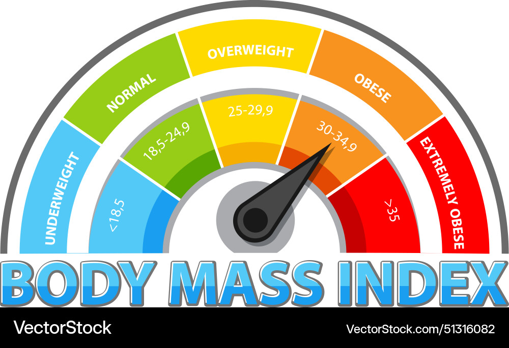 Colorful bmi gauge showing weight categories Vector Image