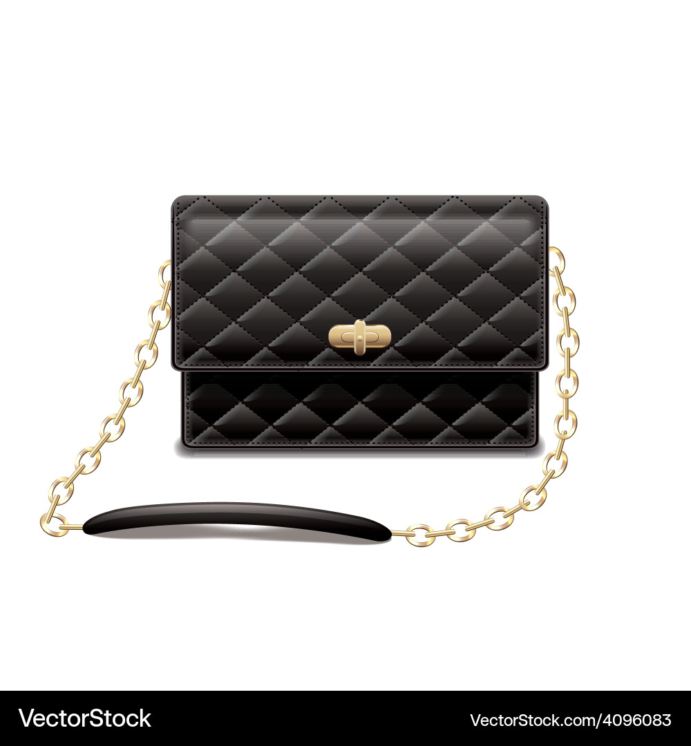 Black Women's Handbag - Isolated Shot Royalty Free Vector