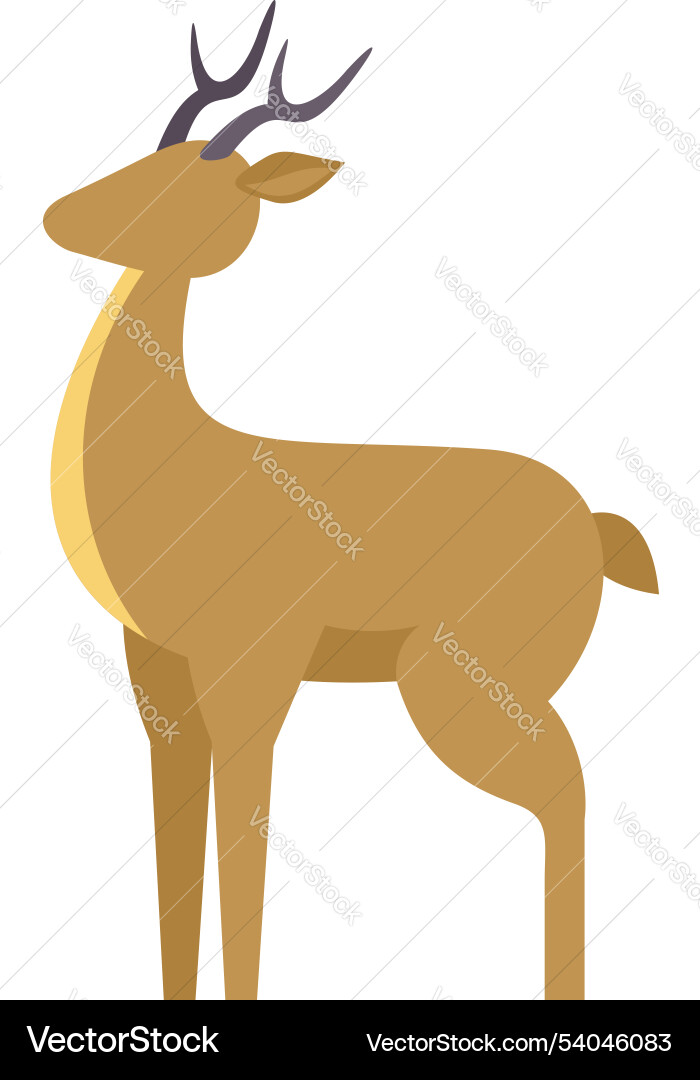 Brown deer standing on white background Royalty Free Vector