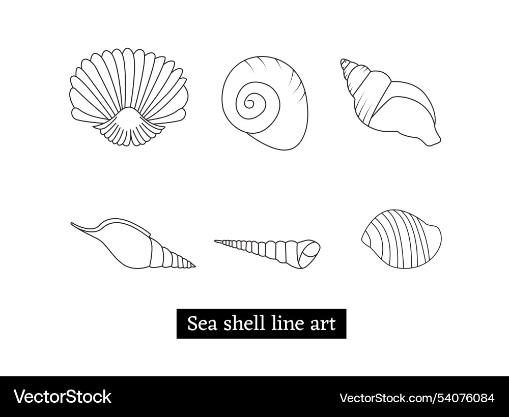 Collection of sea shell animal Royalty Free Vector Image
