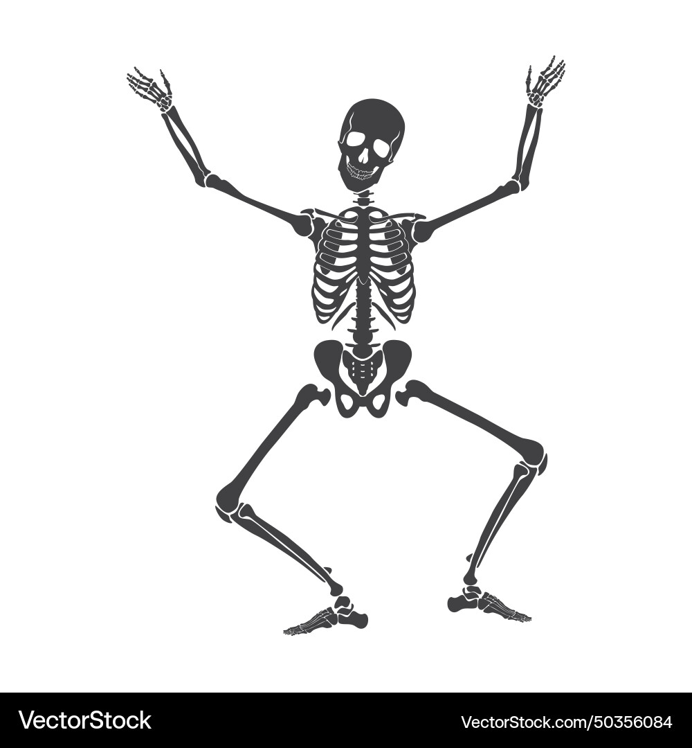 Dance of black human skeleton dead bone character Vector Image