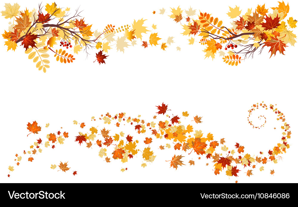 Autumn Maple Leaves Border Royalty Free Vector Image