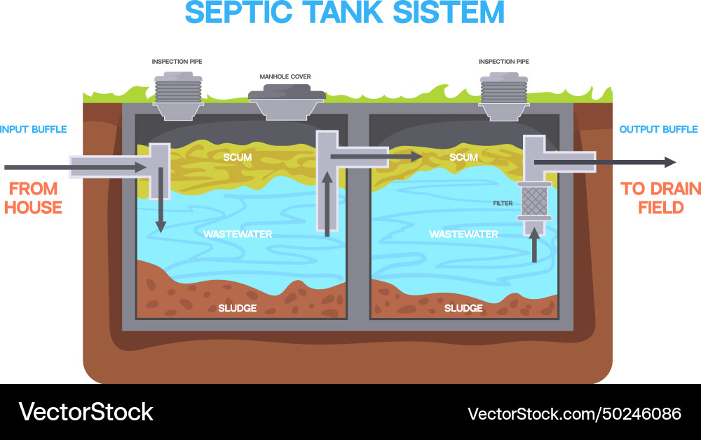 Septic tank system underground sewer construction Vector Image