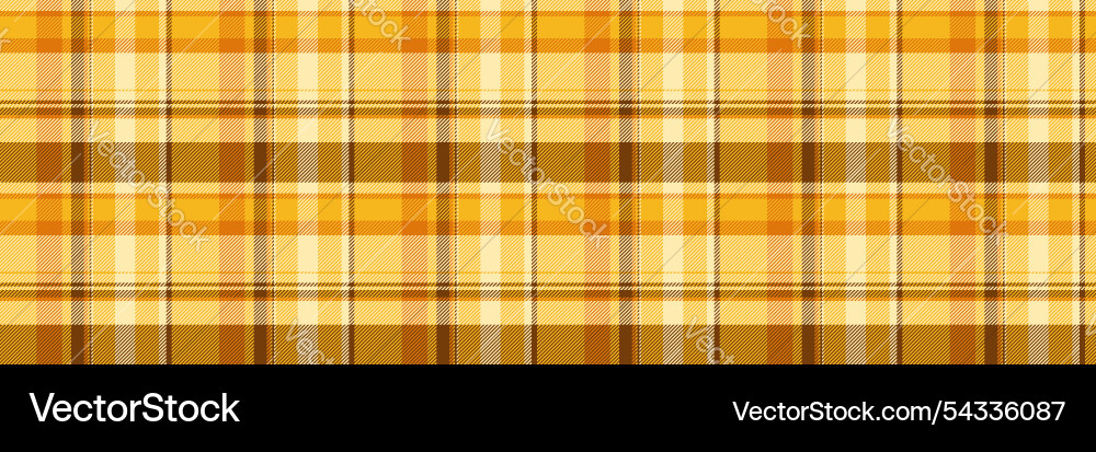 Product pattern background tartan decorate Vector Image