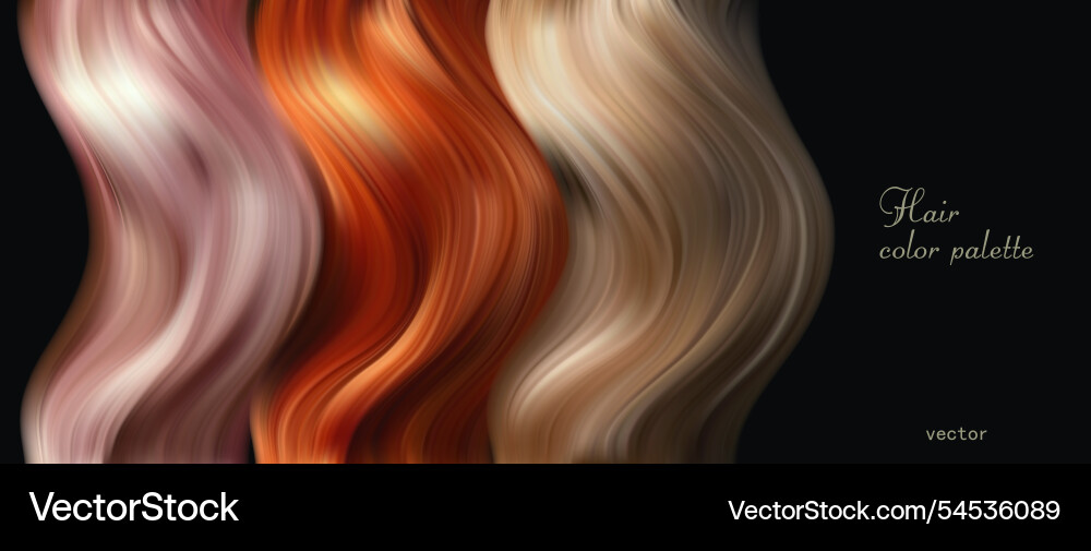 Hair colors palette curls Royalty Free Vector Image