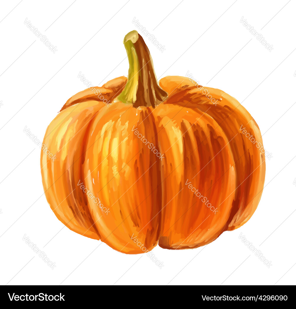Picture of pumpkin Royalty Free Vector Image - VectorStock