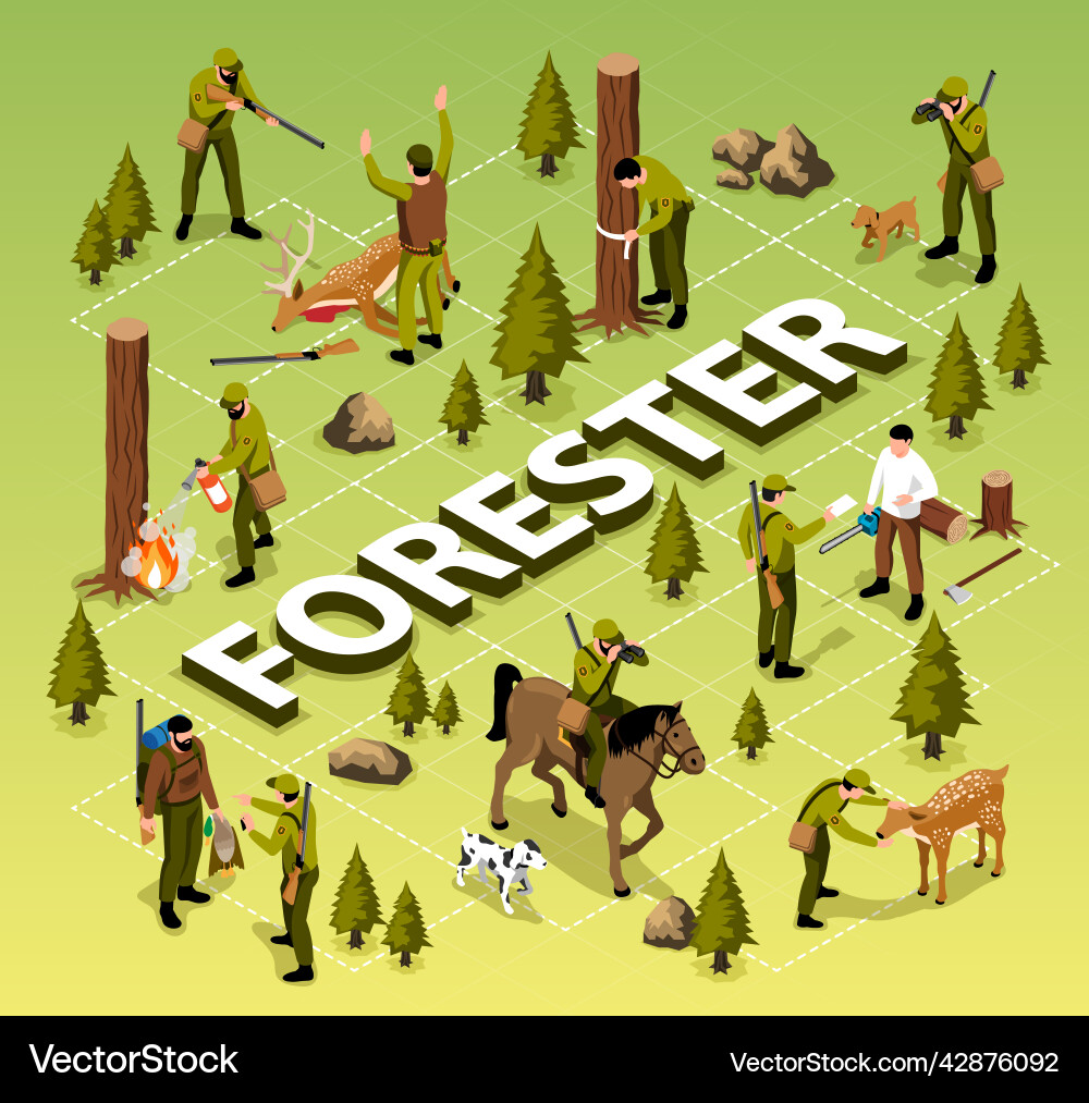 Isometric forester flowchart Royalty Free Vector Image