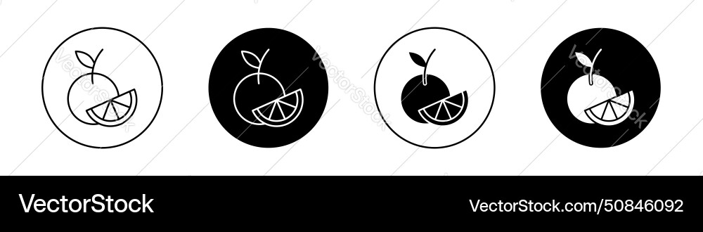 Orange fruit icon set simple citrus grapefruit Vector Image