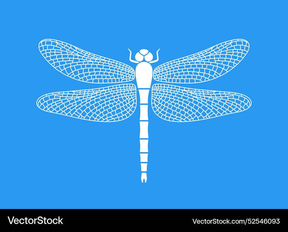 Dragonfly Royalty Free Vector Image - VectorStock