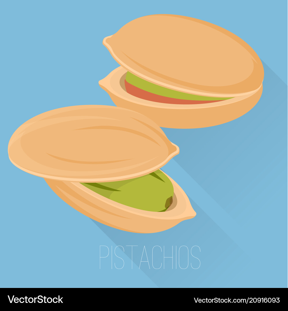 Pistachios icon Royalty Free Vector Image - VectorStock