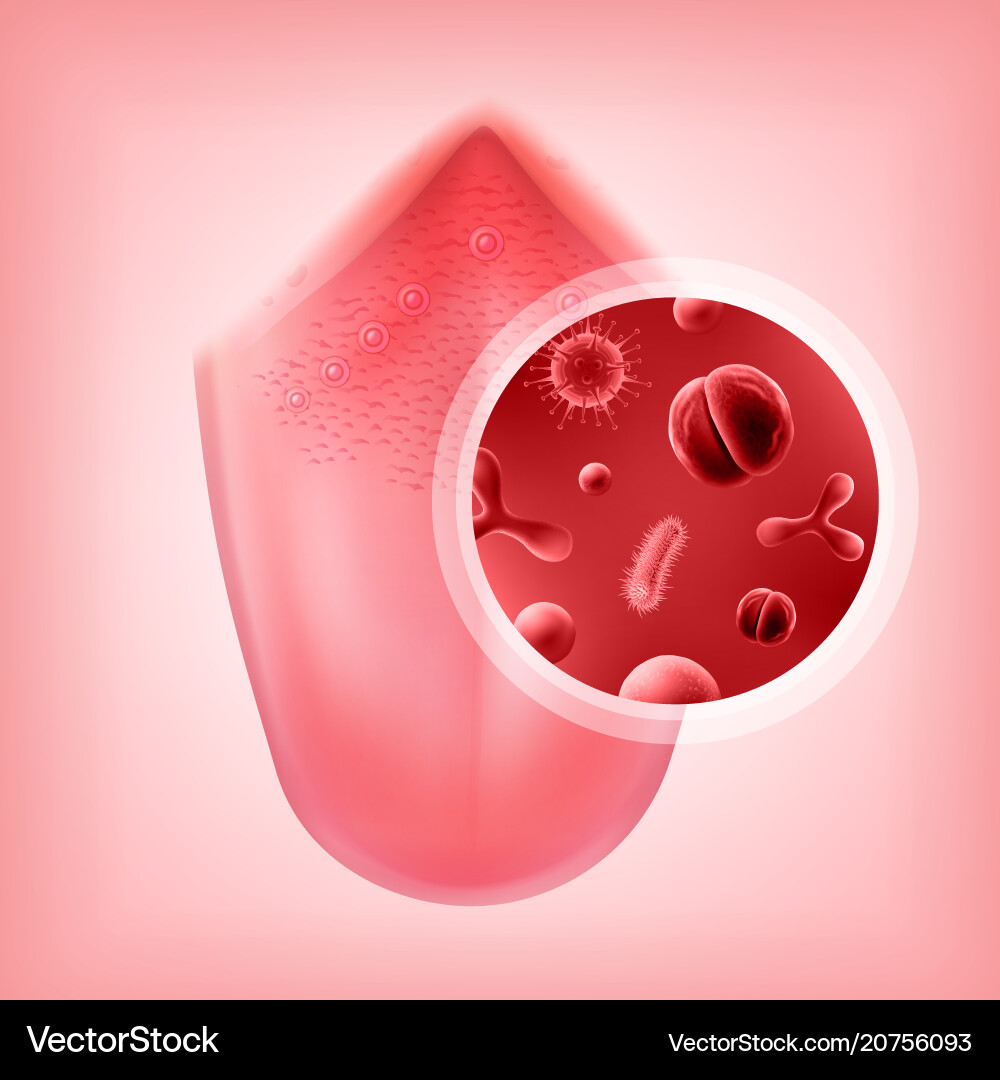 Realistic human tongue Royalty Free Vector Image