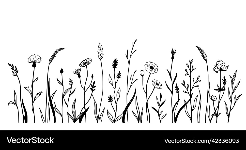 Wild field flower line set Royalty Free Vector Image