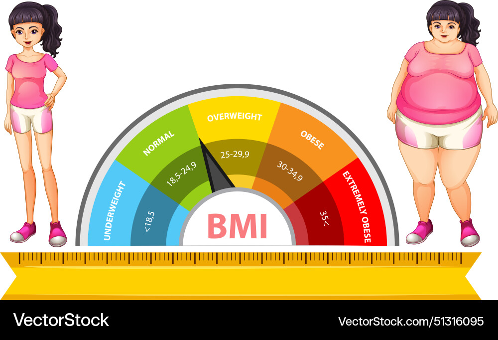 Bmi scale and body weight categories Royalty Free Vector