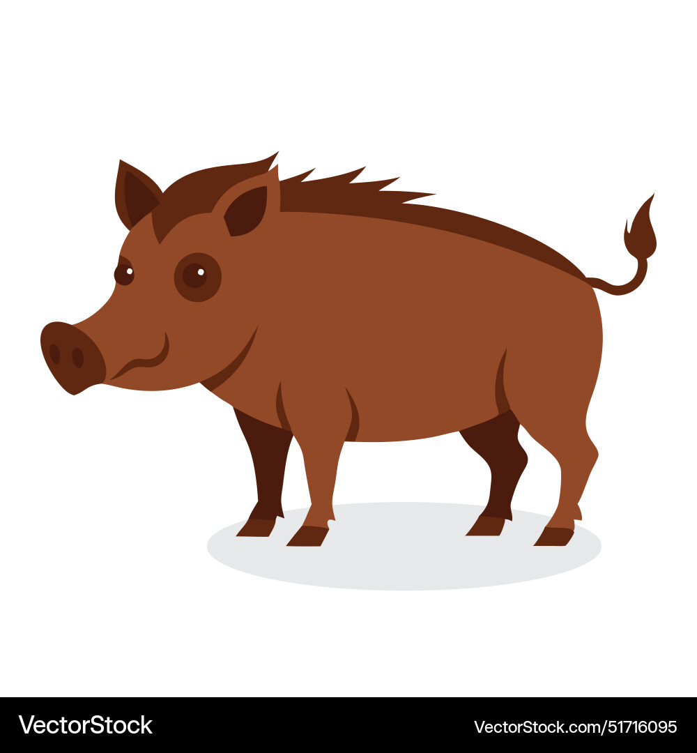 Boar animal isolated flat on white background Vector Image