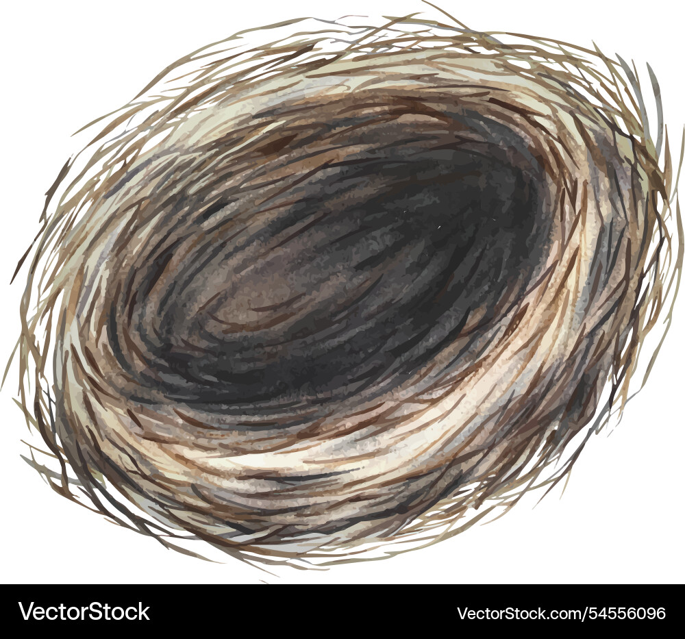 A bird s nest image of hand-drawn Royalty Free Vector Image