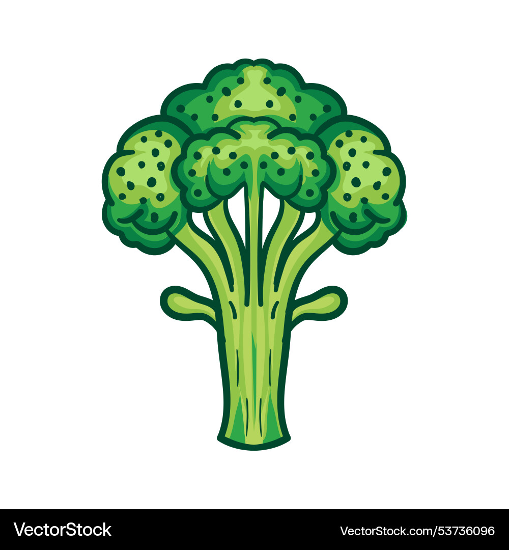 Broccoli green design Royalty Free Vector Image