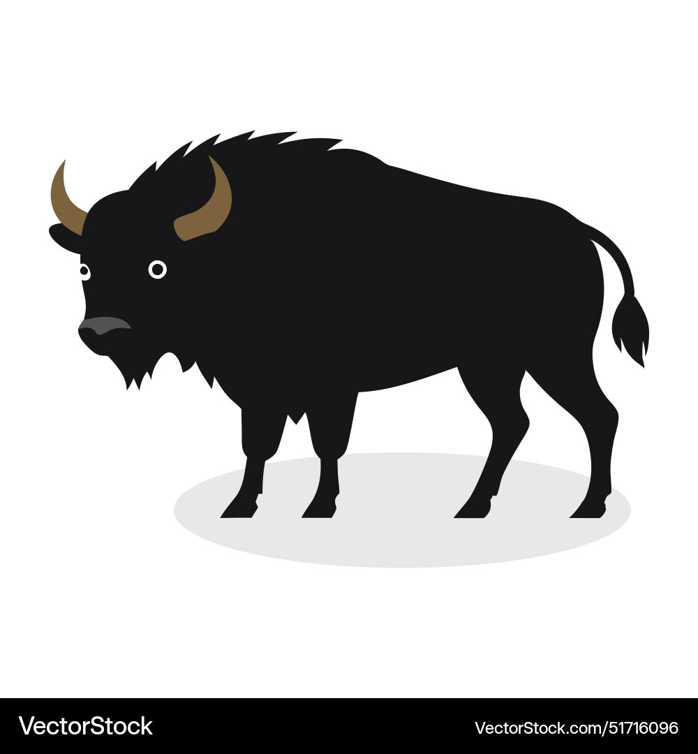 Buffalo animal isolated flat on white background Vector Image