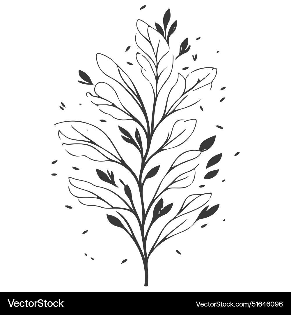 Orchid flower grey Royalty Free Vector Image - VectorStock