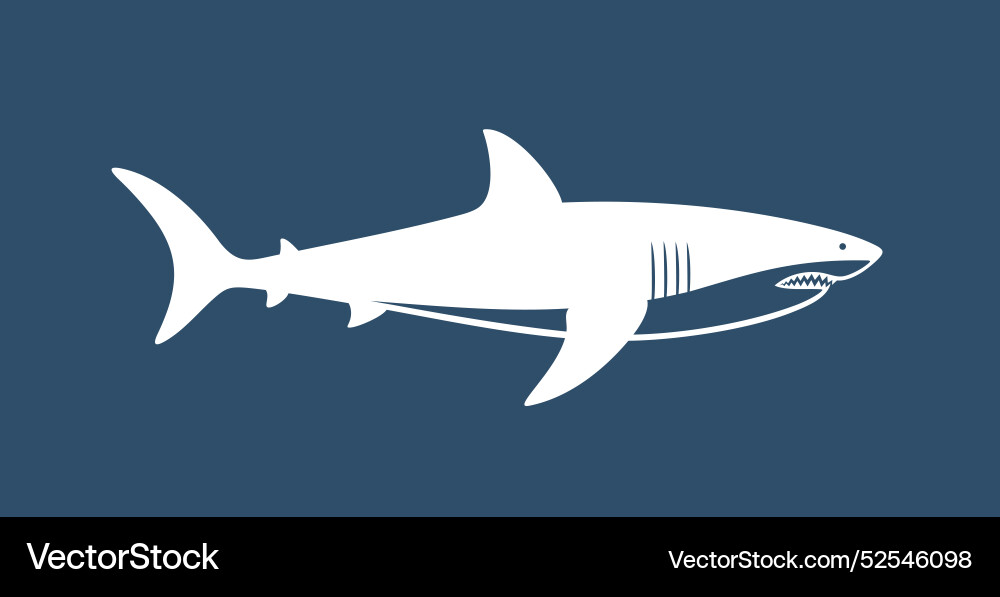 Shark Royalty Free Vector Image - VectorStock