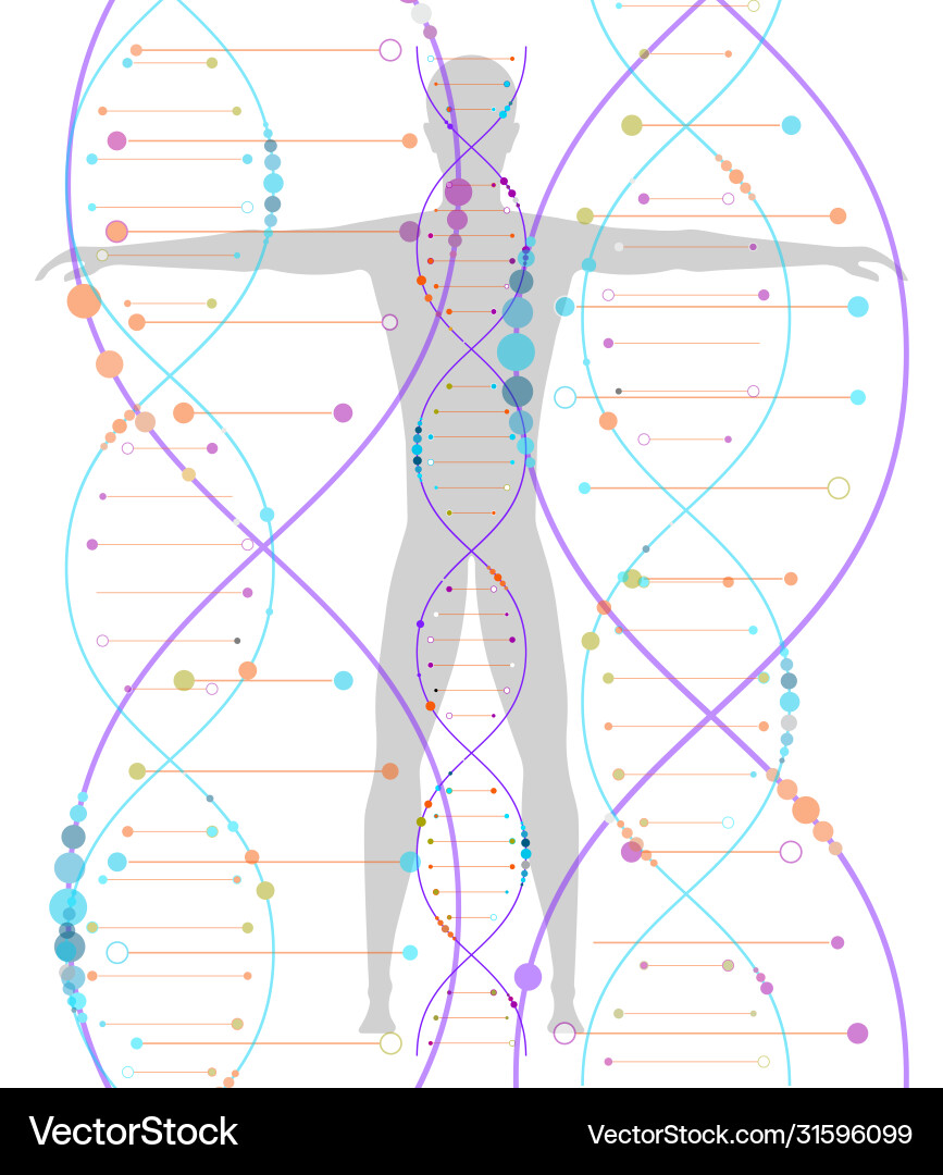 Human-dna-2 Royalty Free Vector Image - VectorStock