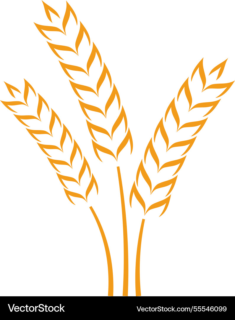 Three stylized wheat stalks creating an organic Vector Image