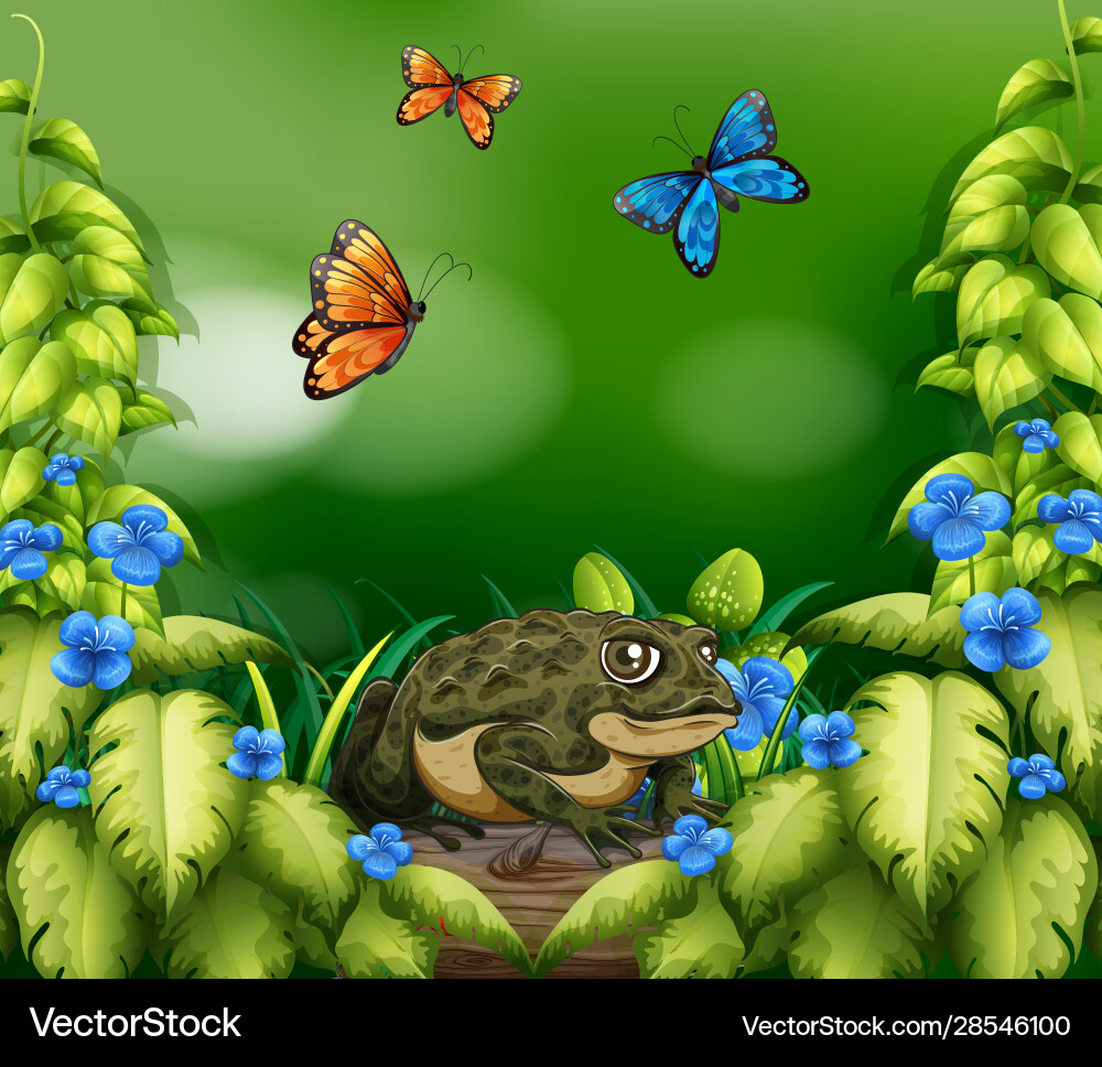 Background scene with frog and butterflies Vector Image