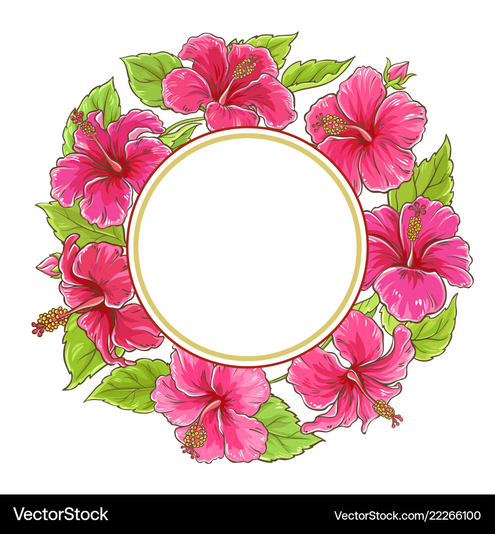 Hibiscus frame Royalty Free Vector Image - VectorStock