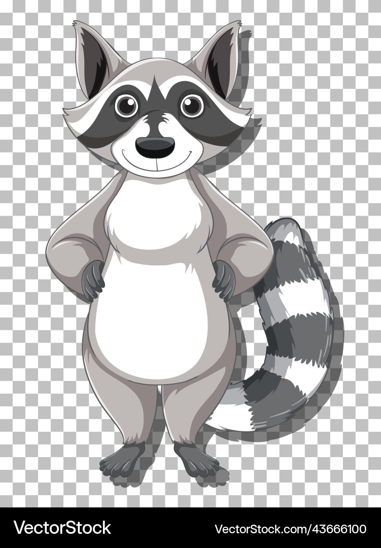 Raccoon standing cartoon character Royalty Free Vector Image